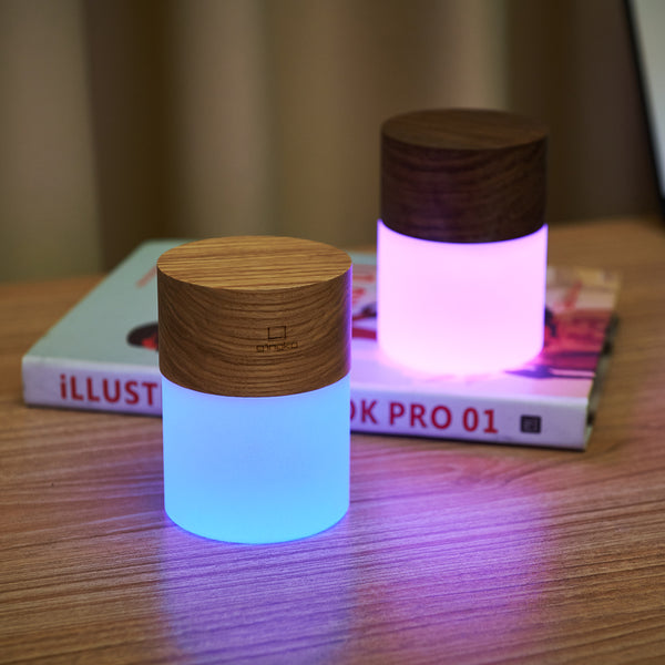 Large Lemelia Light: Natural Ash - SFMOMA Museum Store