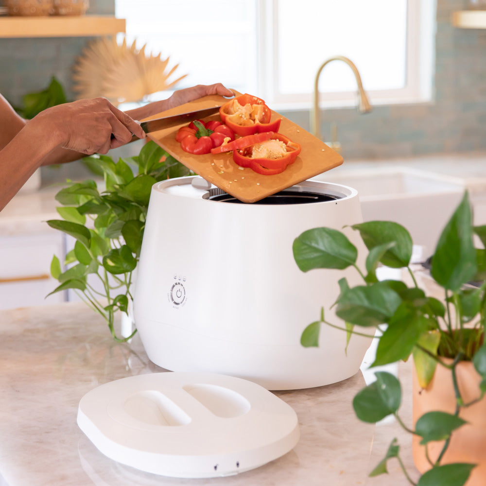 Kitchen Page 2 - SFMOMA Museum Store